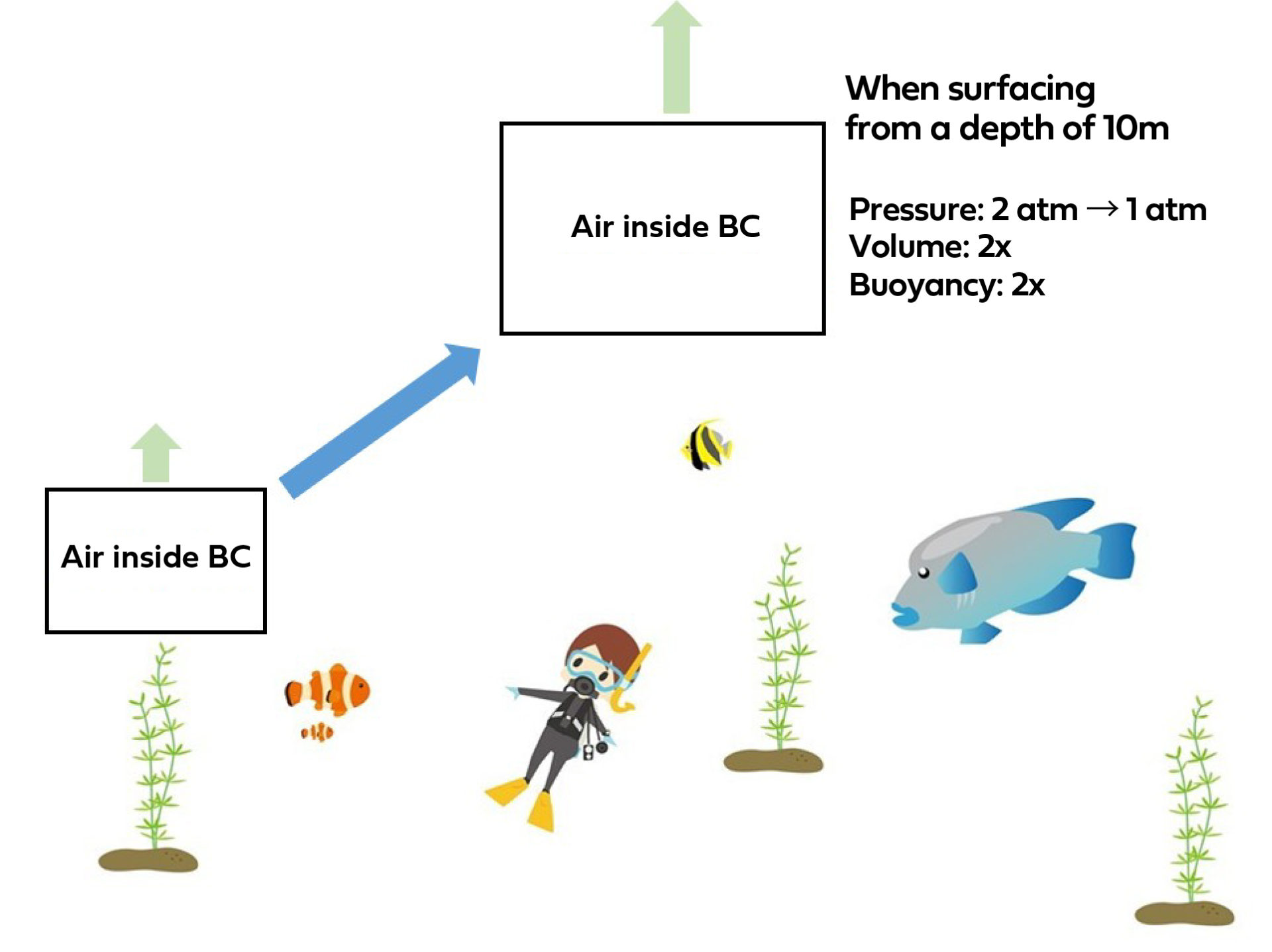 Unveiling the Science of Pressure and Volume: Essential Knowledge for ...